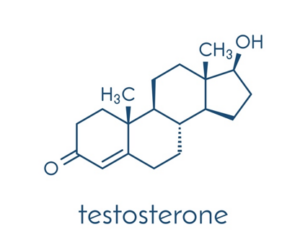 What is Sustanon?